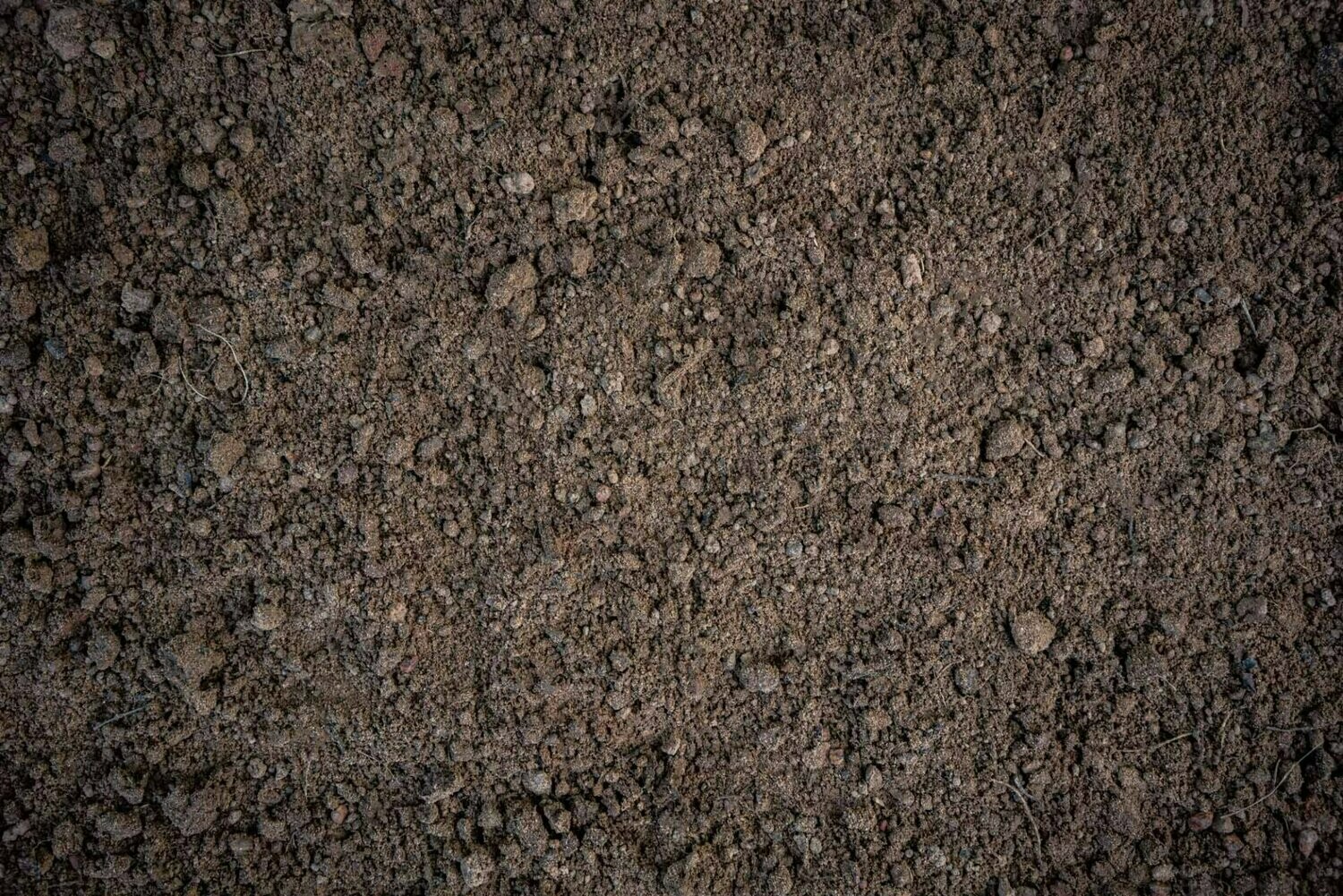 Screened Loam | AA Will Materials Corporation