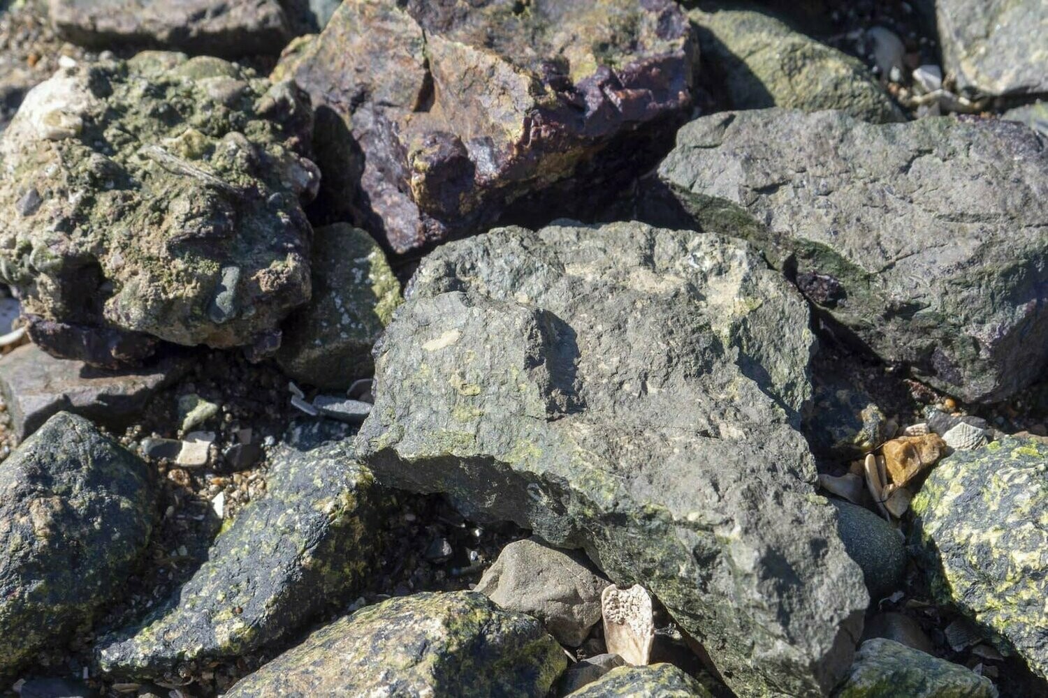 Rip Rap 4"to 8" | AA Will Materials Corporation