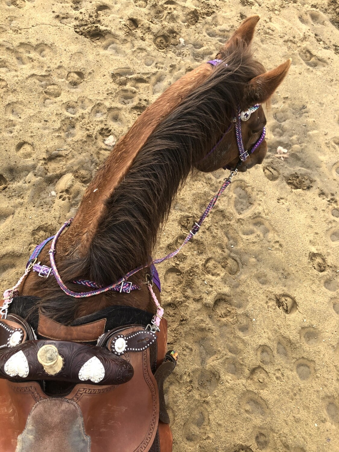 Custom wither straps