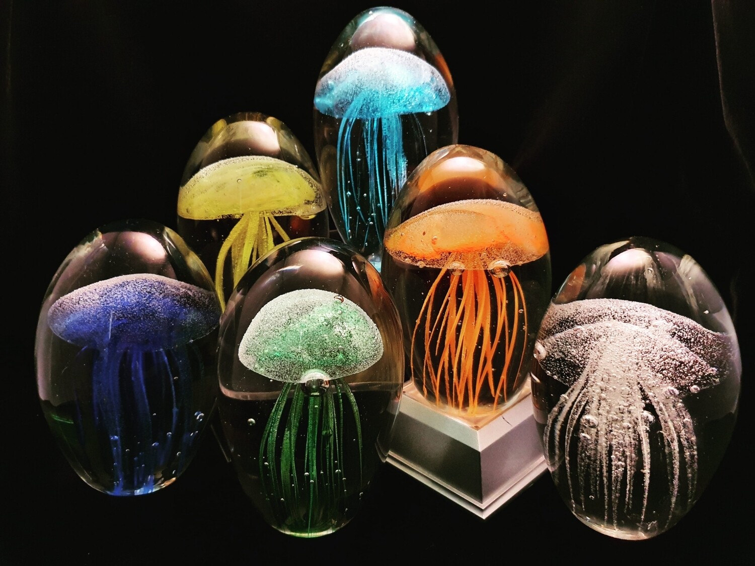 Jellyfish* Glow in the Dark – Store – Gift of Glass