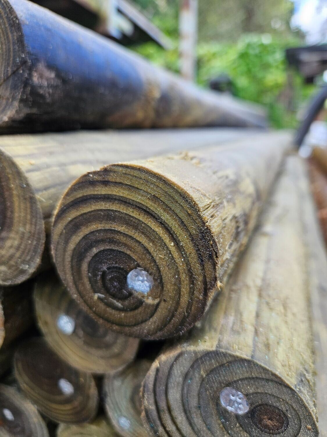 2 1/2" Tanalised Rounded Posts