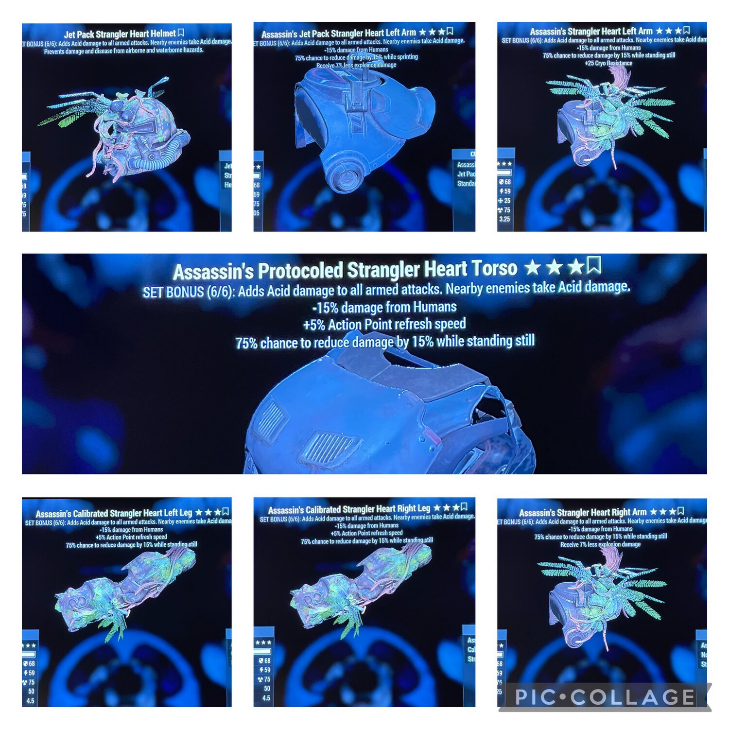 Assassins 3 AP, 1 Cryo, 1 Explo Sentinel Strangler Heart Armor Set