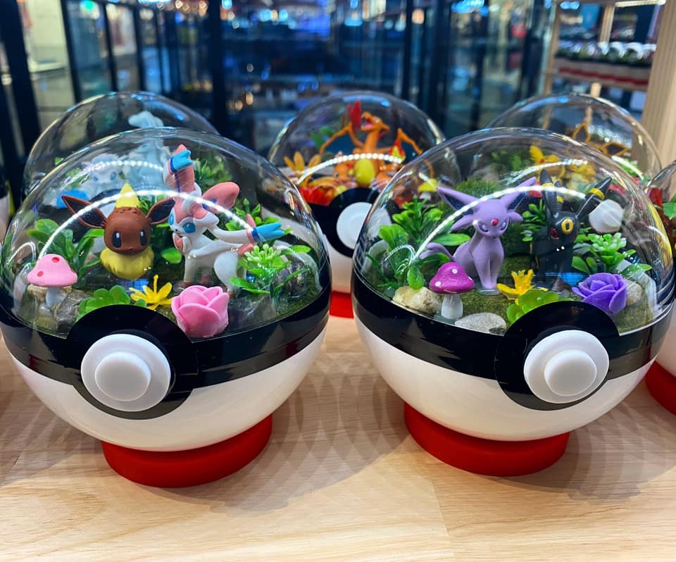 Custom Terrariums