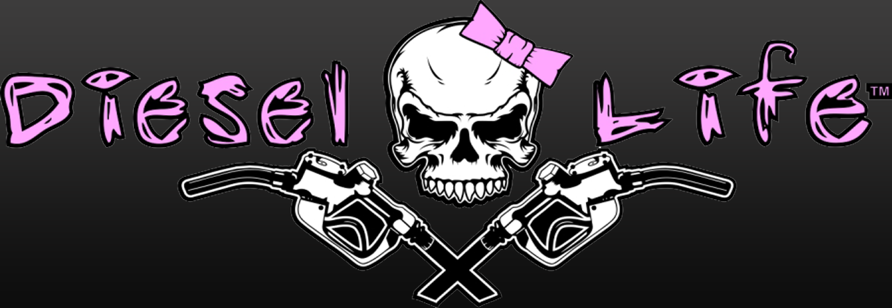 Ladies Diesel Life Decal in Different Sizes | Shop for Truck Parts ...