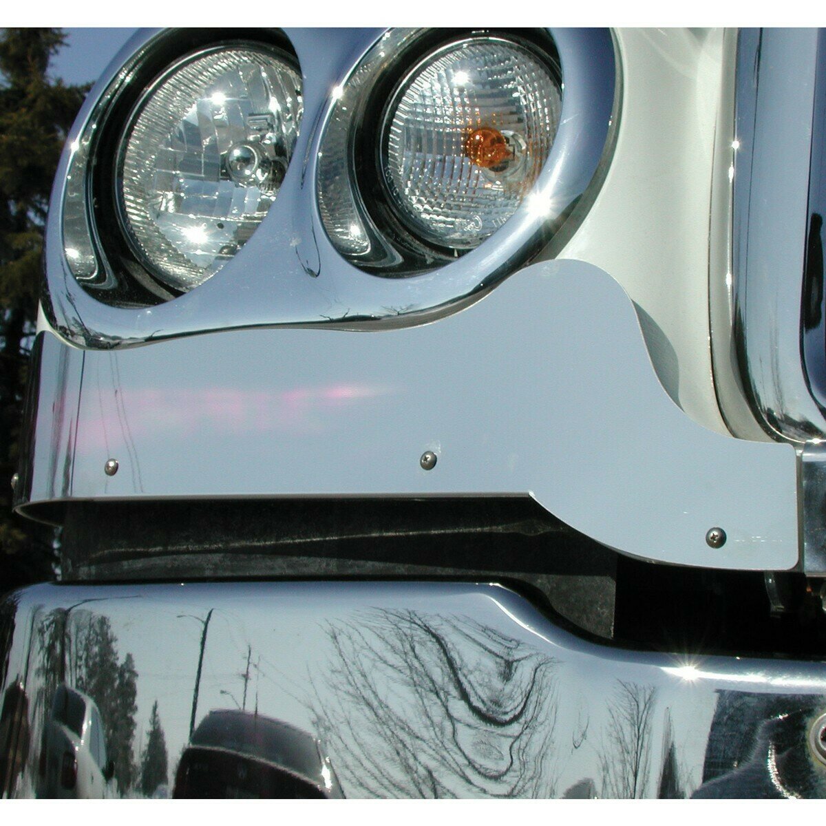 Trux Accessories Fender Guards for Freightliner Columbia (Set of 2 ...