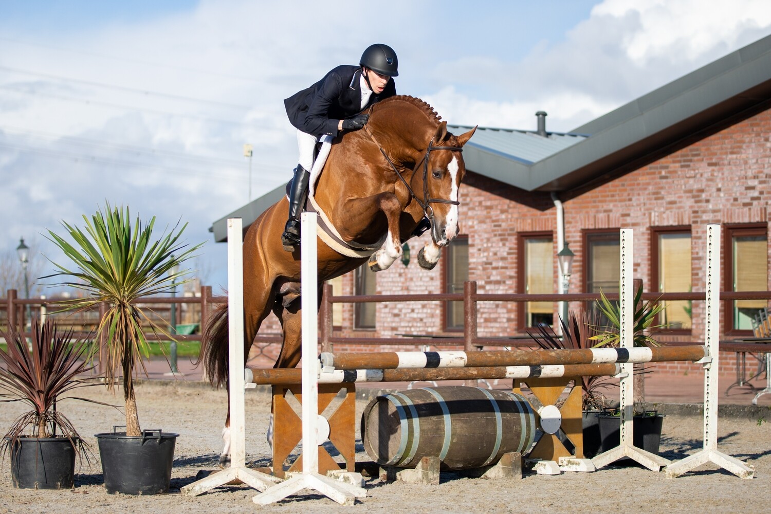 Breeding - Party in de Hus