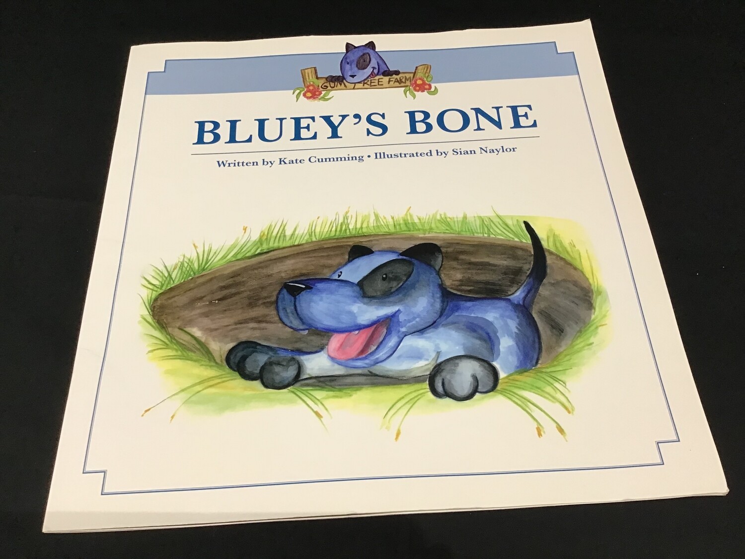 Bluey's Bone Big Book