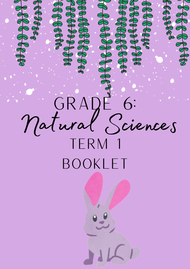 Grade 6 NS Term 1 booklet