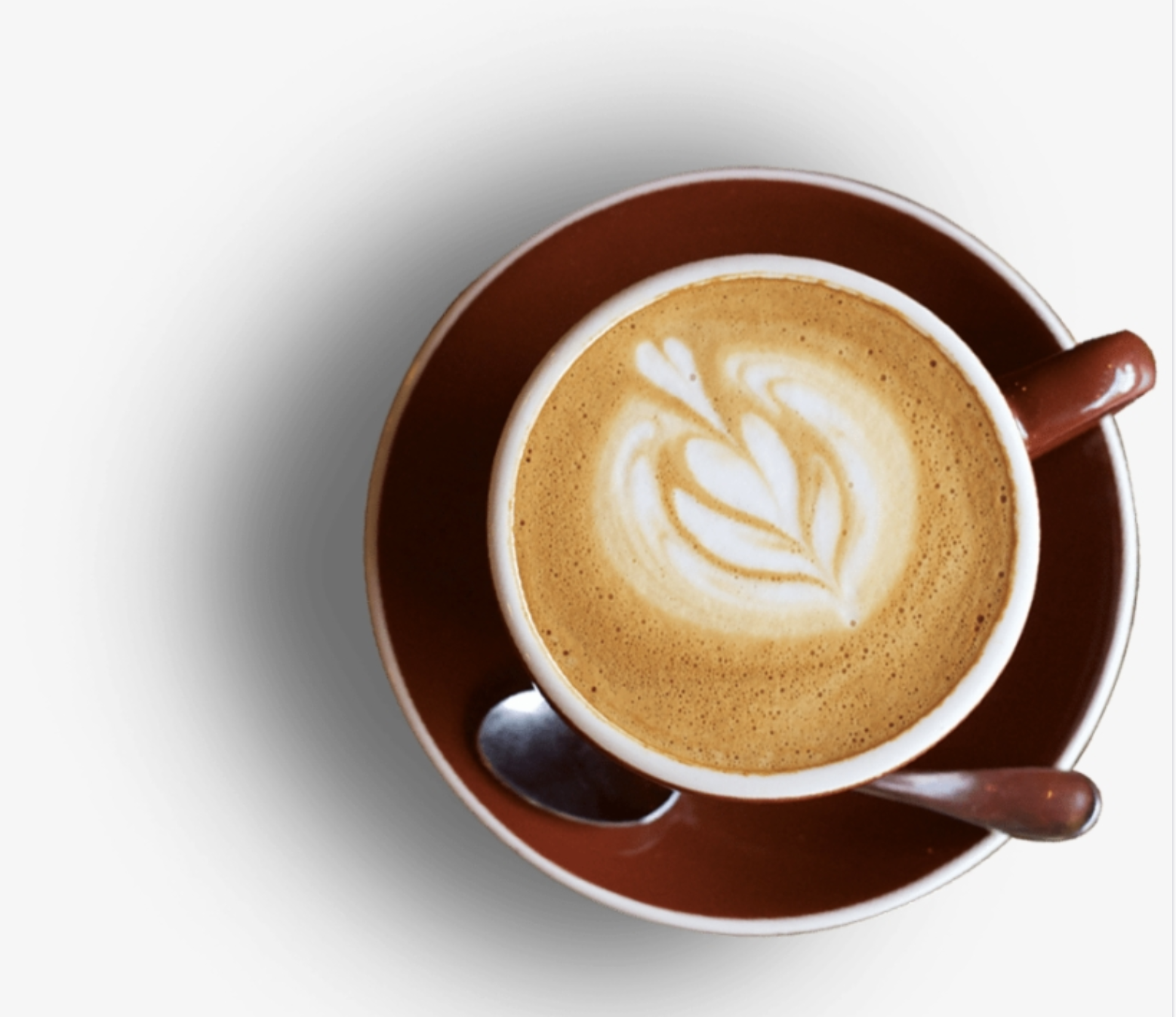 Medium – Coffees – Dark Side Coffee Roasters