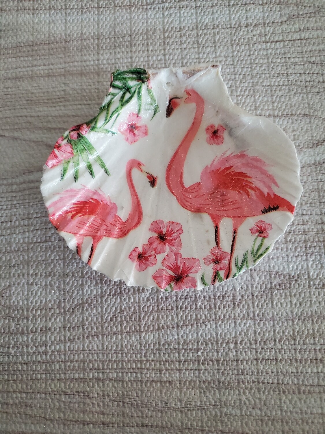 Scallop Shell-Flamingo's