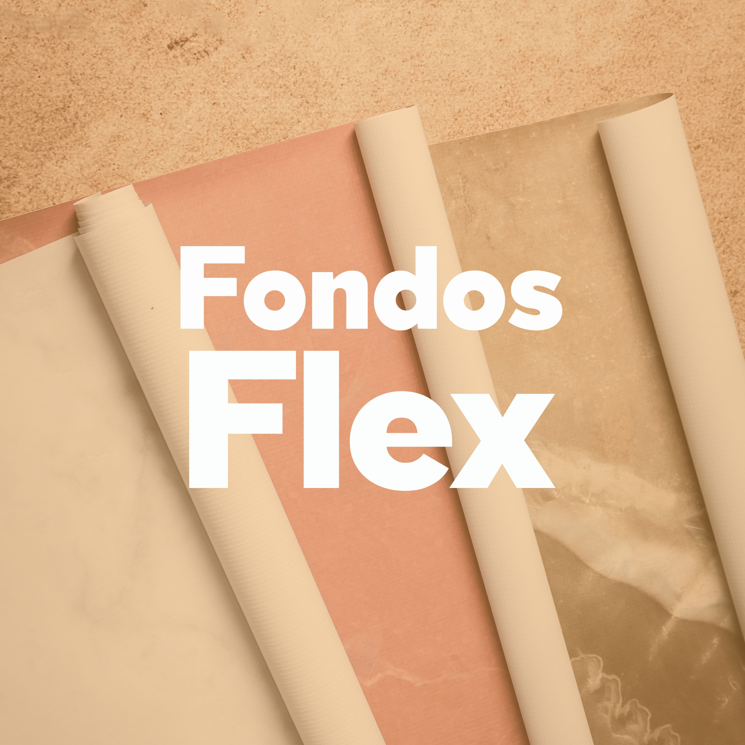 FONDOS FLEX