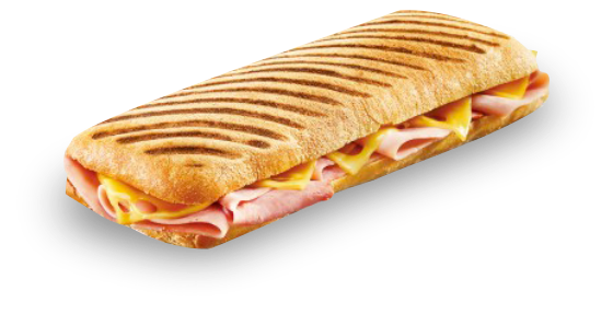 PANINI