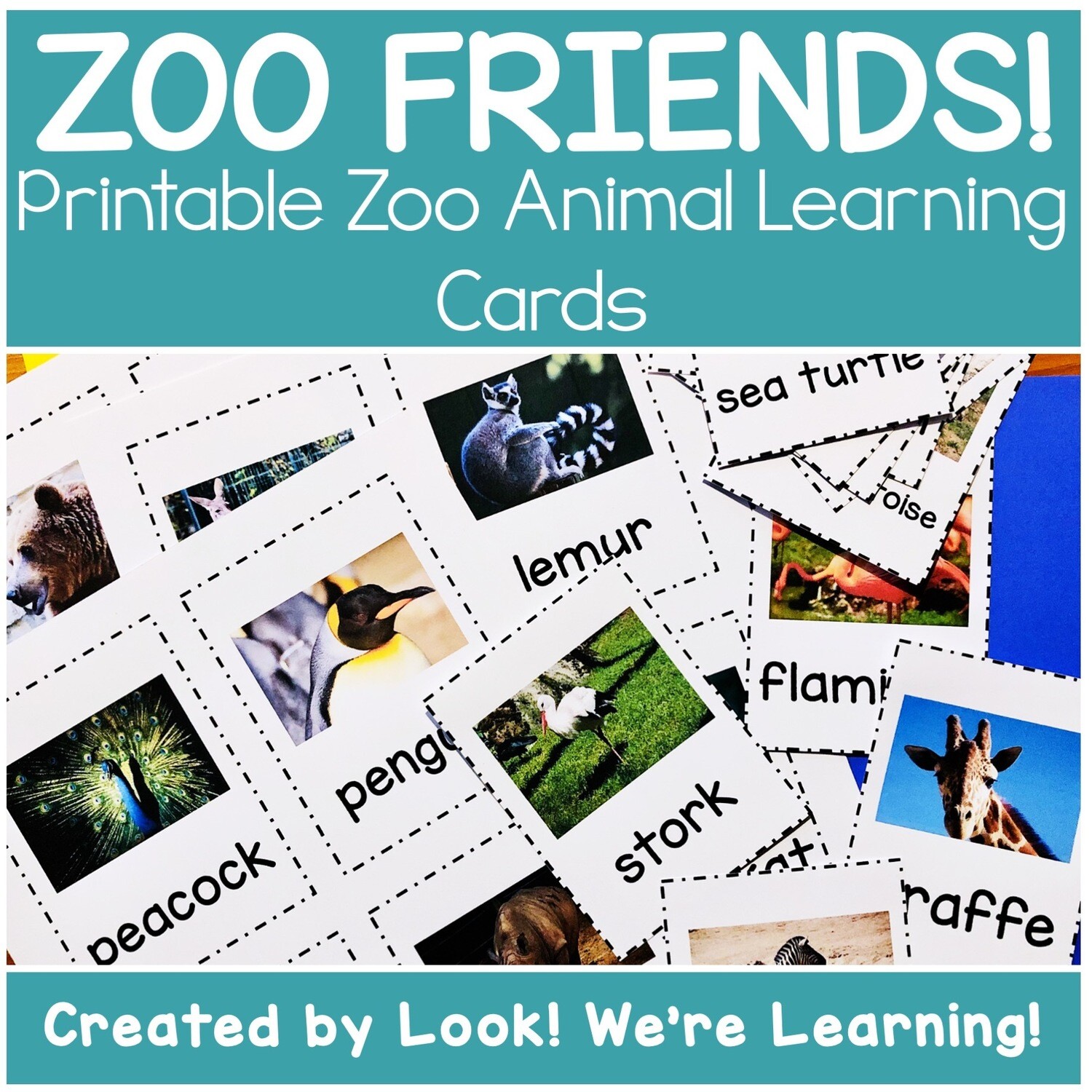 Printable Zoo Animal Flashcards - Store - Look! We're Learning!