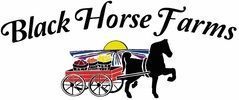 Black Horse Farms