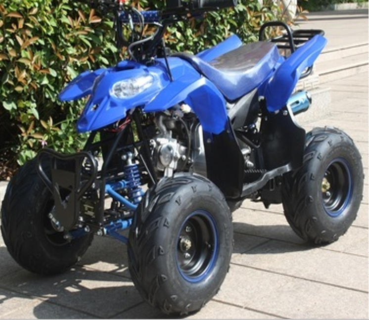 Quad Bike 125cc Junior Electric Start Automatic with Reverse