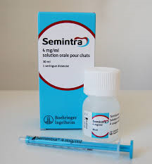 SEMINTRA 4 MG 30 ML ALIMENTO COMPLEMENTARIO PARA GATOS
