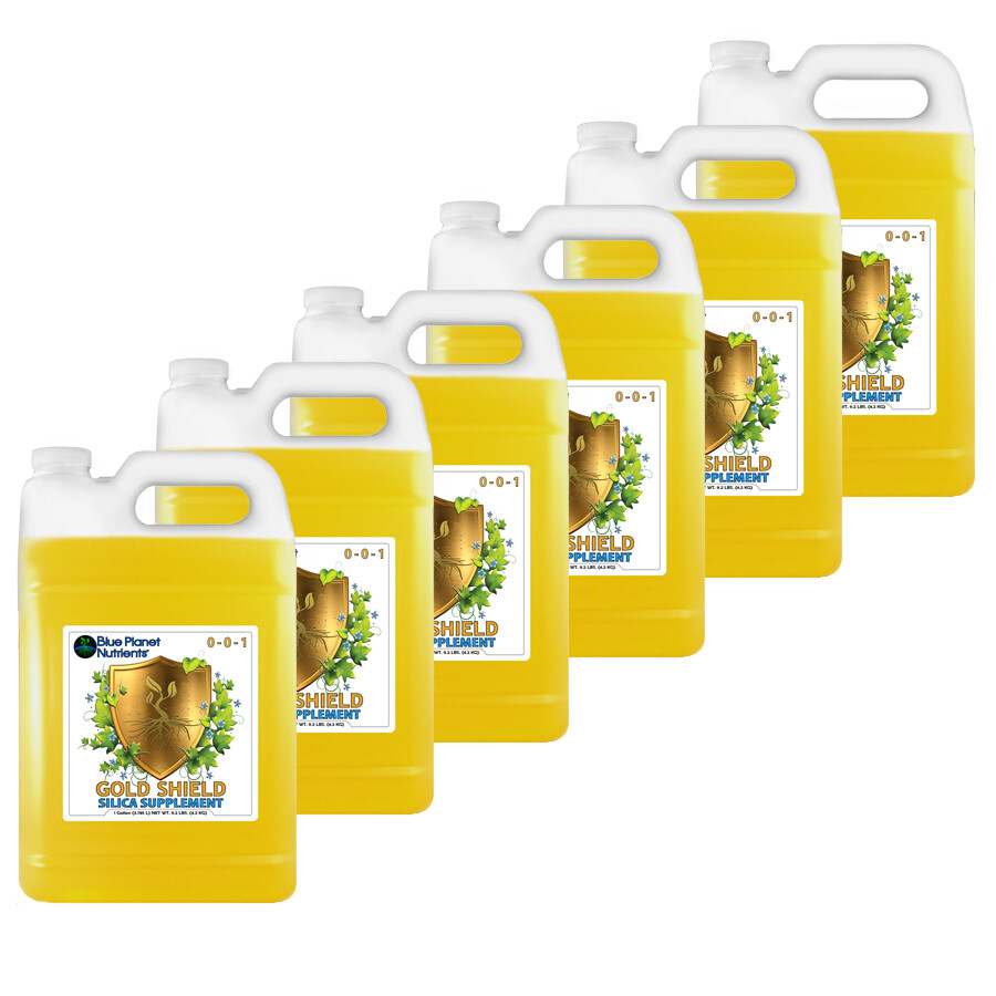 Gold Shield 6 Pack (Gallon)