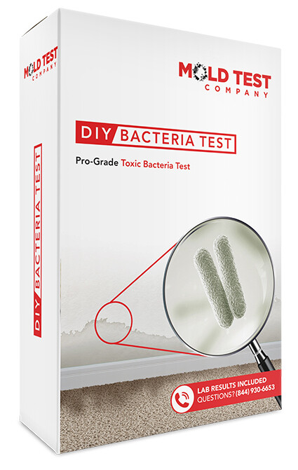 DIY Bacteria Test Kit - Environmental DIY Test Kits - Mold Test Company