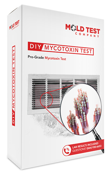 DIY Mycotoxin Test Kit - Environmental DIY Test Kits - Mold Test Company