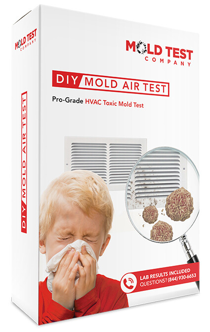 DIY Mold Test Kit | Pro-Grade | Mold Test Company - Environmental DIY ...