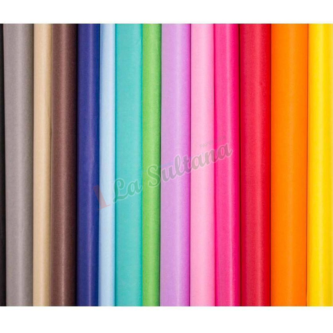 PAPEL LUSTRINA EUROCOLOR C/5 X COLOR