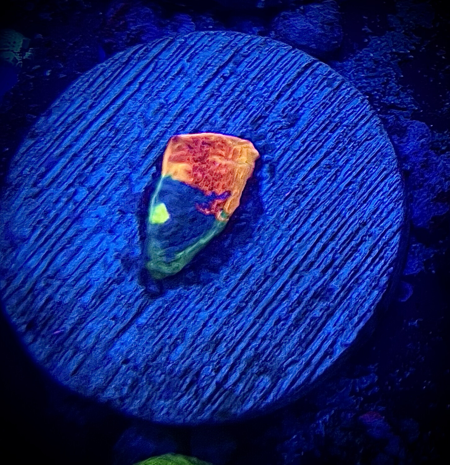 Chalice Flaming Bugatti