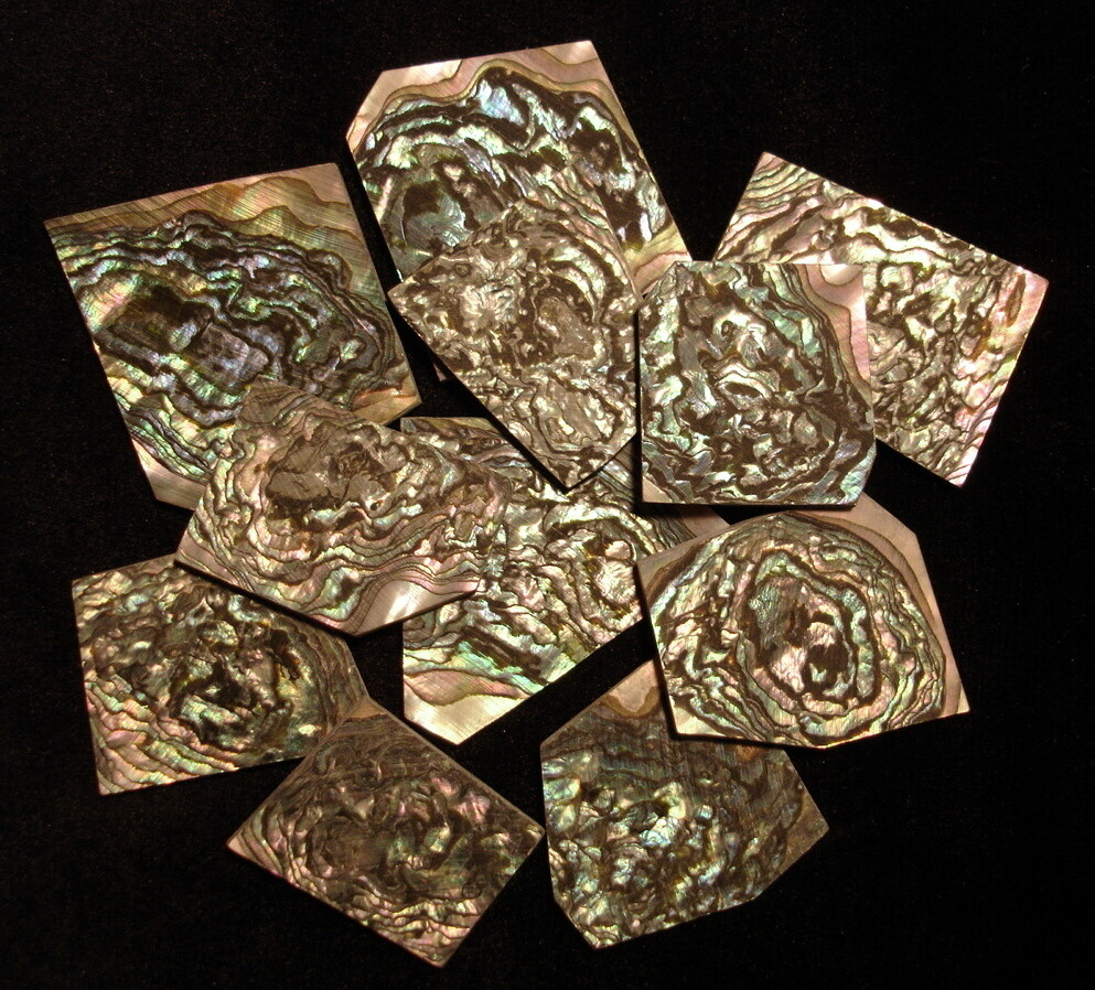 Green Abalone Solid Shell Blanks - Buy Shell Inlays & Sheets - Duke of ...