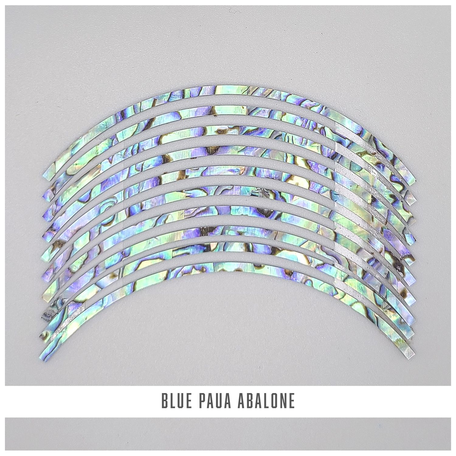 Paua Abalone Blue Ply Curved Strips - Buy Shell Inlays & Sheets - Duke ...