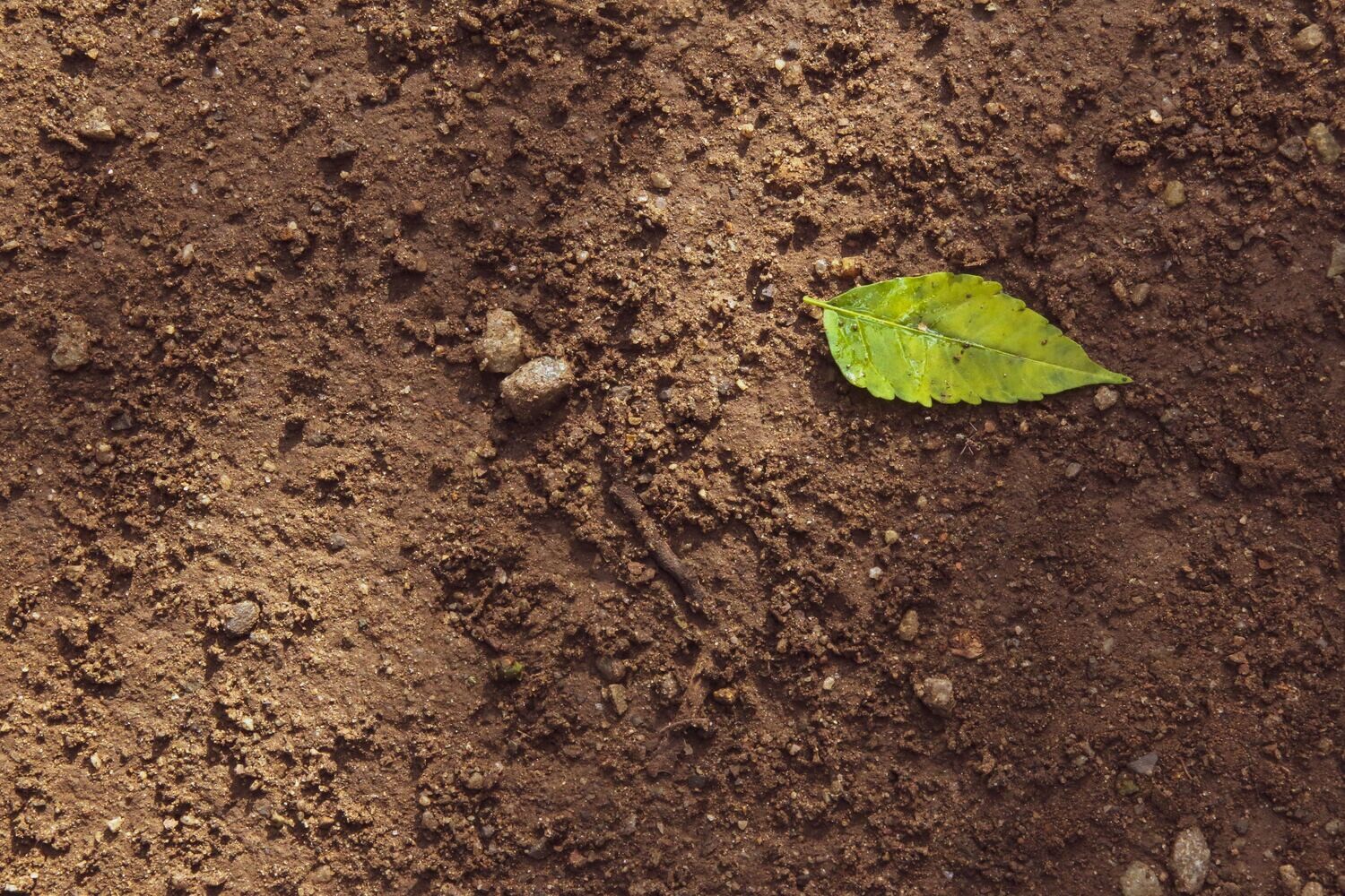 Topsoil m3 