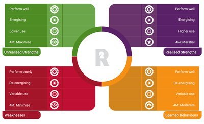 Store – Strength Identification and Development Tool includes ...