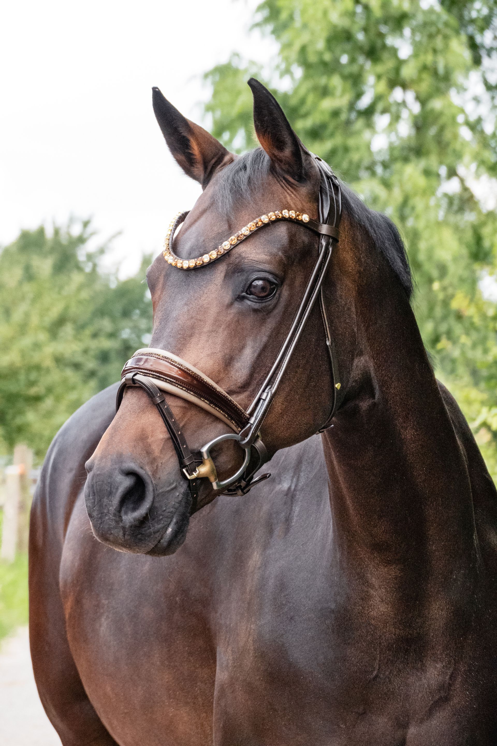 Rundgenähte Trensen