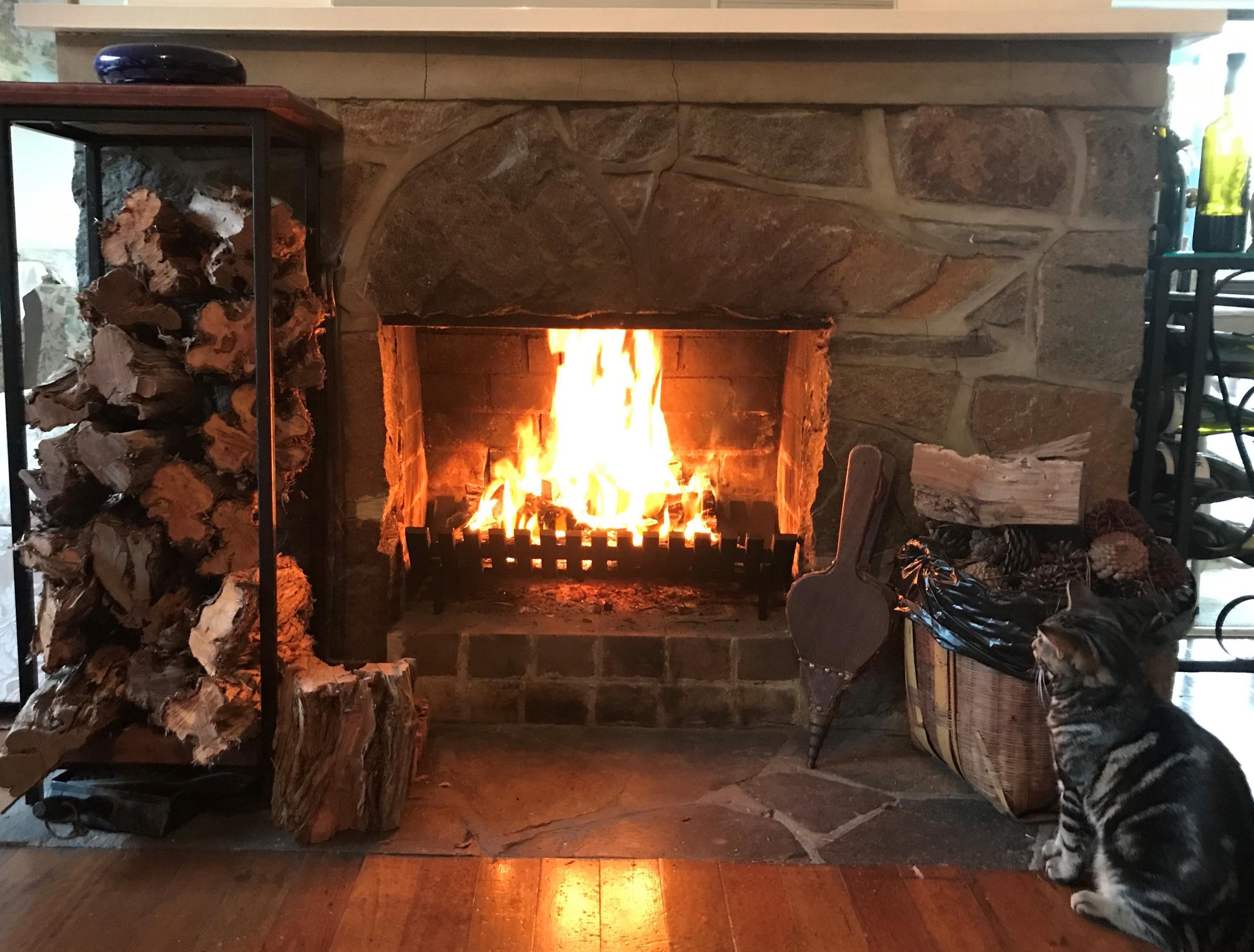 Log Grates - Fireplace Grates - Cast Iron Heavy Duty - Products & Store ...