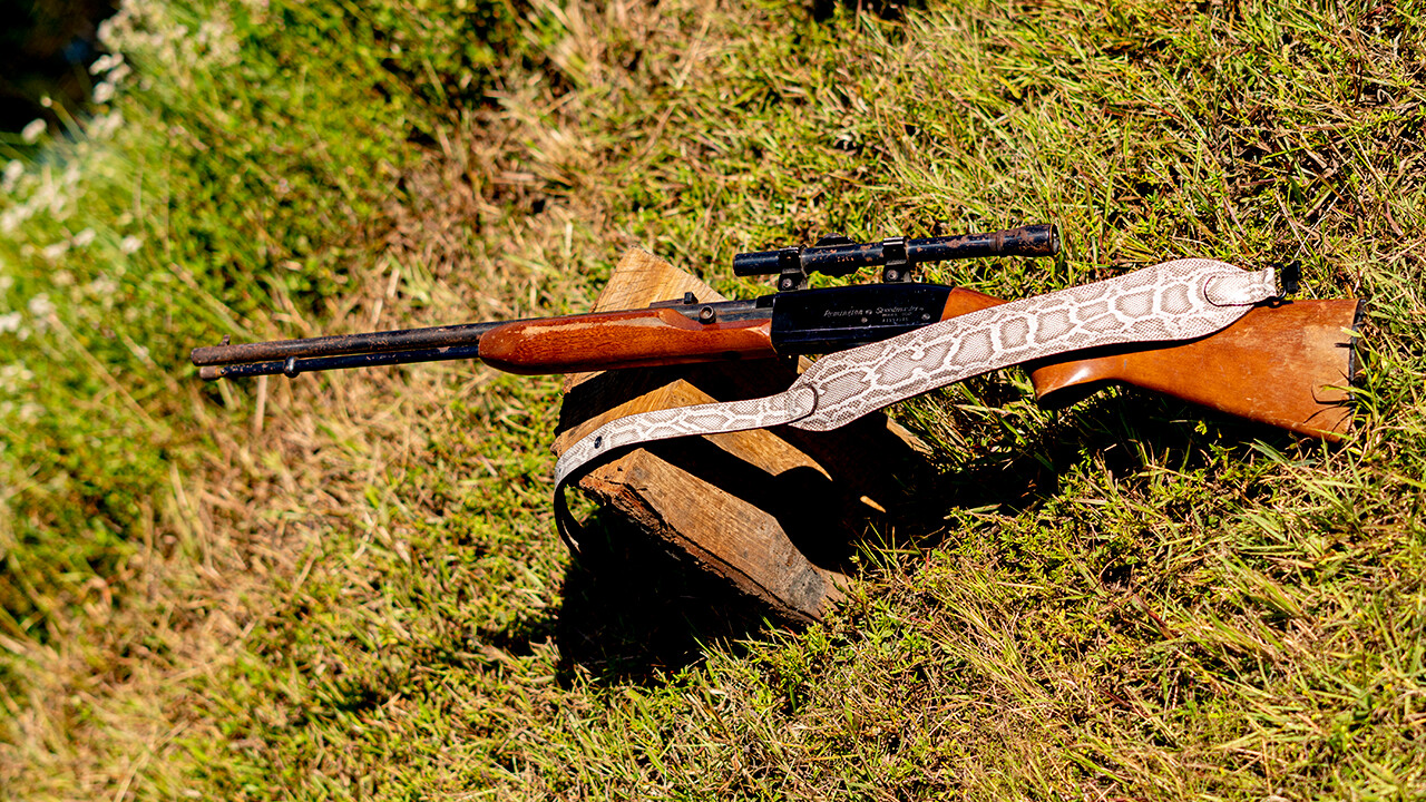 Python Wildman - The Defender of the Everglades | Savin' the Glades one ...