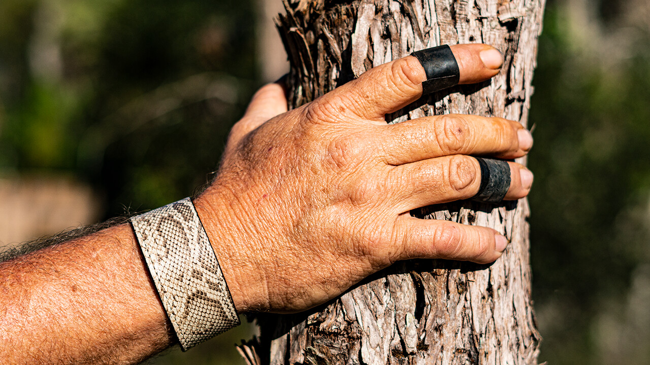 Python Wildman - The Defender of the Everglades | Savin' the Glades one ...
