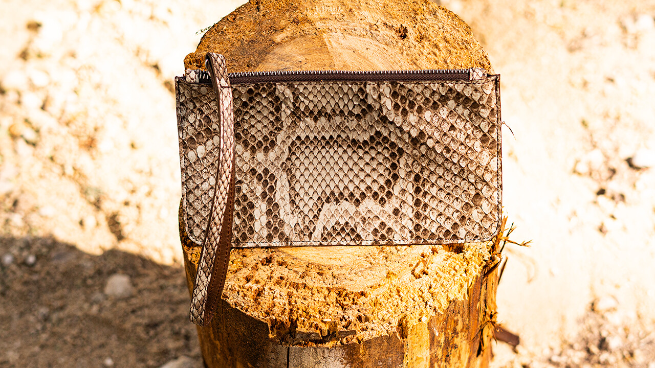 Python Wildman - The Defender of the Everglades | Savin' the Glades one ...