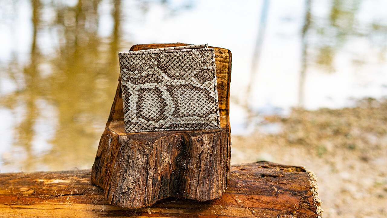 Python Wildman - The Defender of the Everglades | Savin' the Glades one ...