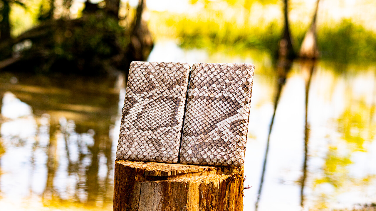 Python Wildman - The Defender of the Everglades | Savin' the Glades one ...