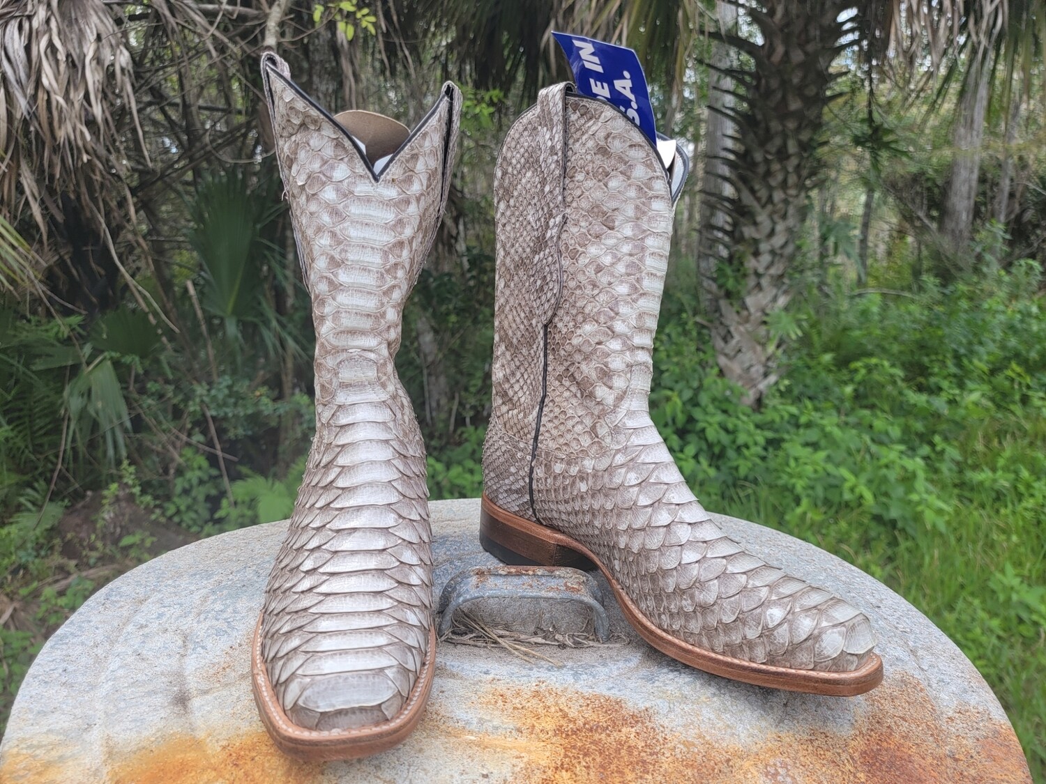 Python Wildman - The Defender of the Everglades | Savin' the Glades one ...