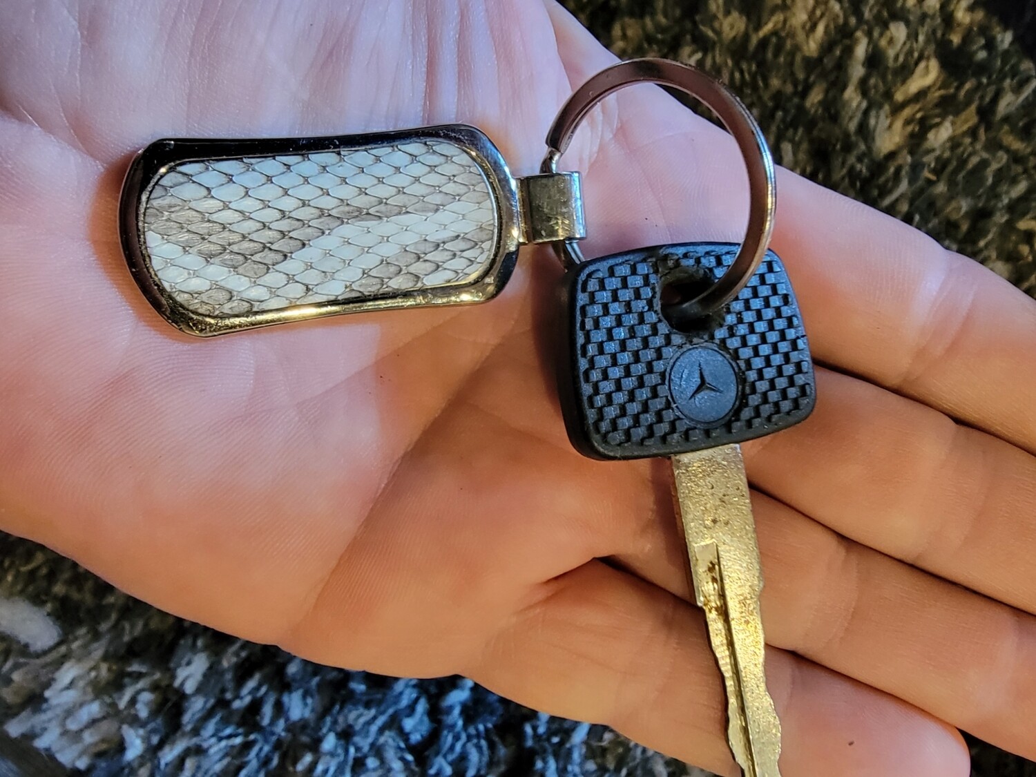 Python Wildman - The Defender of the Everglades | Savin' the Glades one ...