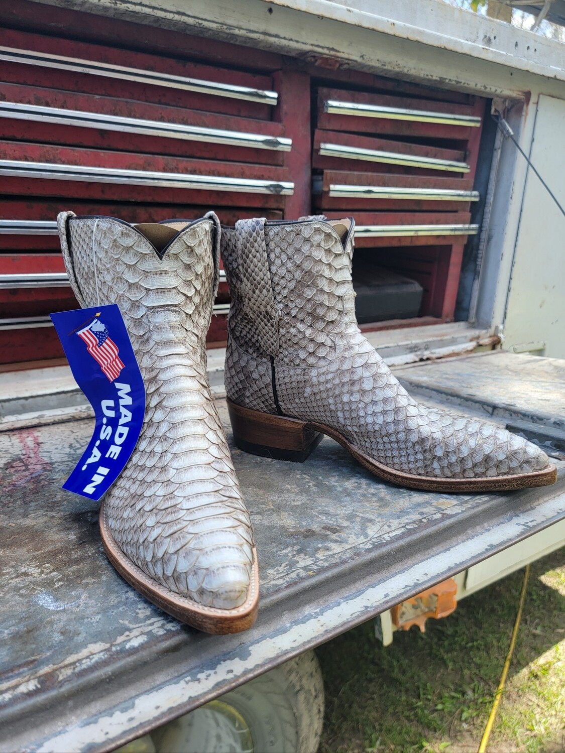 Python Wildman - The Defender of the Everglades | Savin' the Glades one ...