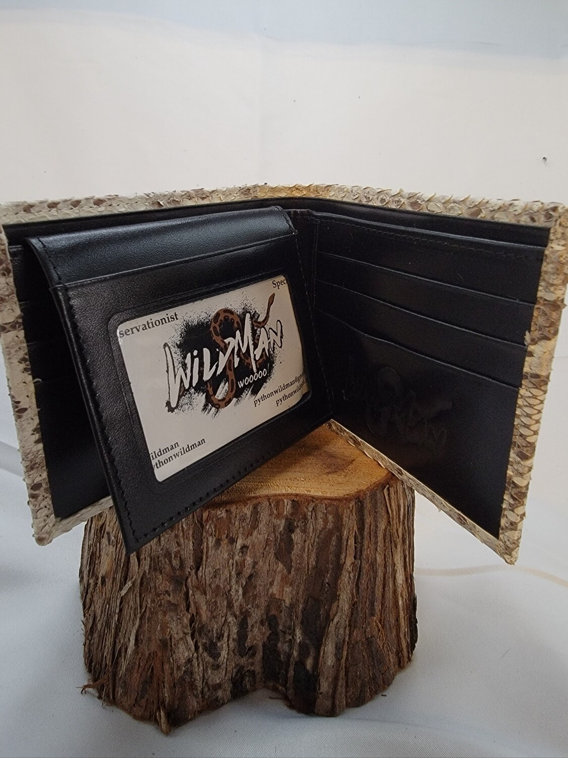 Python Wildman - The Defender of the Everglades | Savin' the Glades one ...