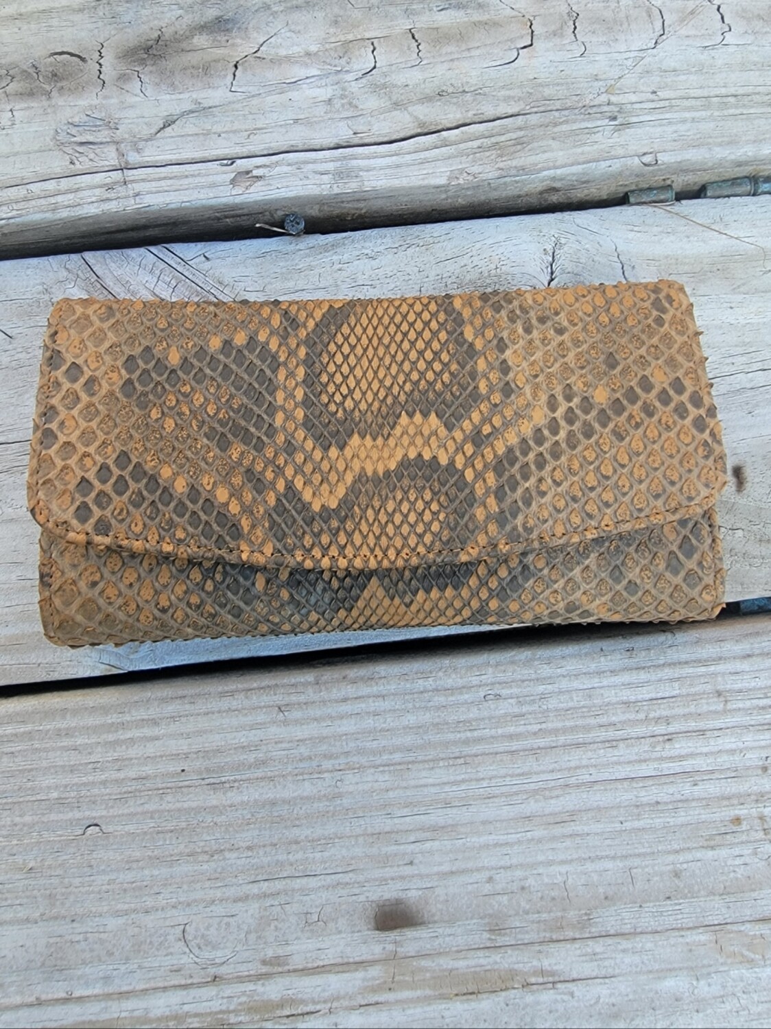 Python Wildman - The Defender of the Everglades | Savin' the Glades one ...