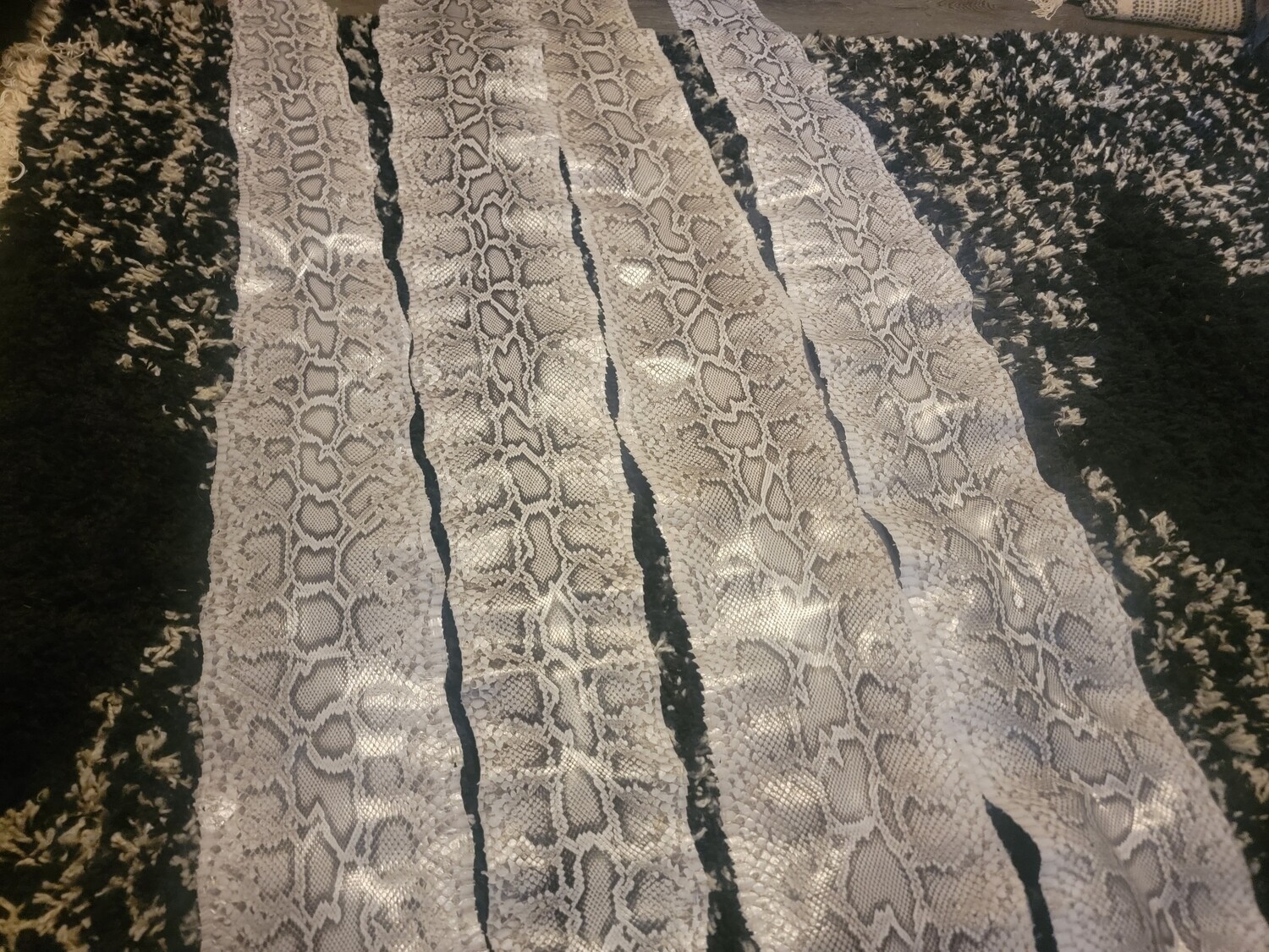 Python Wildman - The Defender of the Everglades | Savin' the Glades one ...