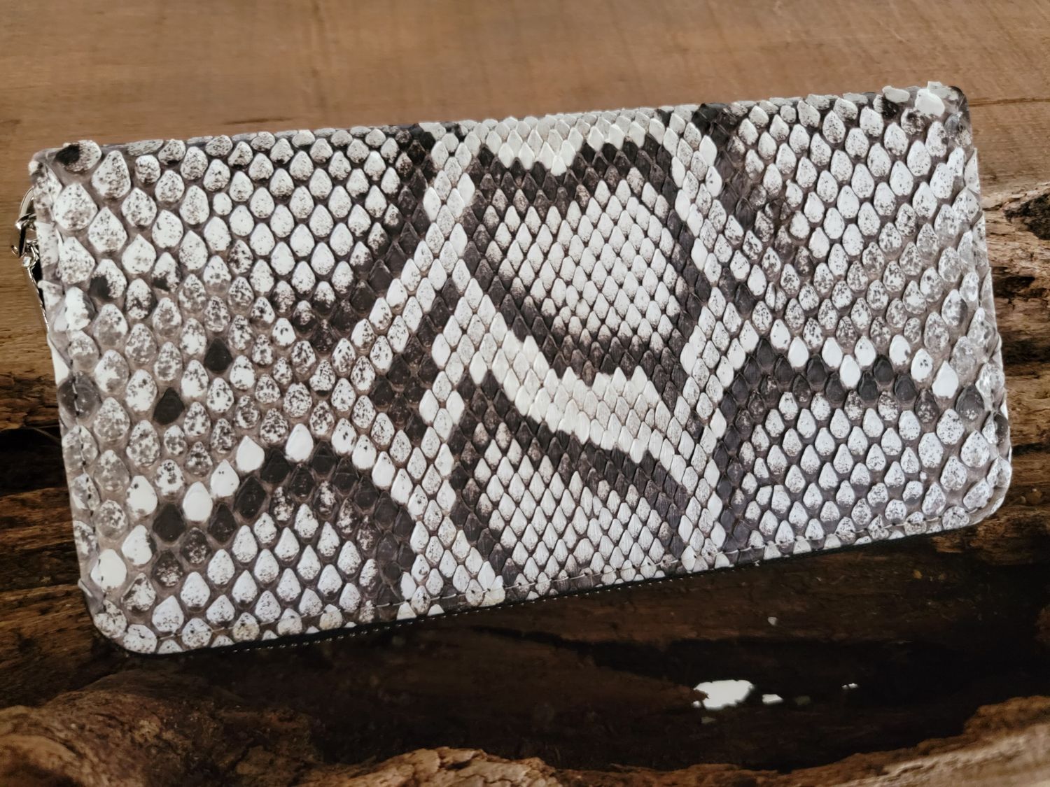 Python Wildman - The Defender of the Everglades | Savin' the Glades one ...