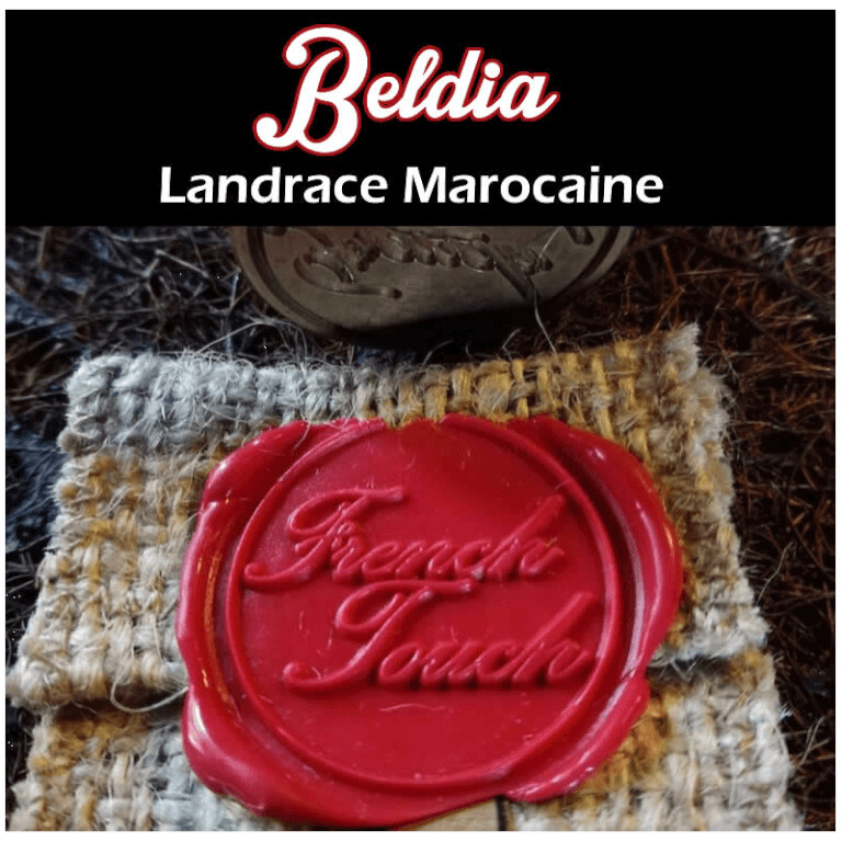 🟫🥇BELDIA HASH - PREMIUM MOROCCAN HASHISH UK STOCK