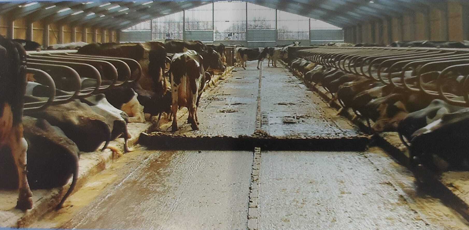 Scraper System Parts & Servicing - Store - Farm Shop - CB Electrical ...