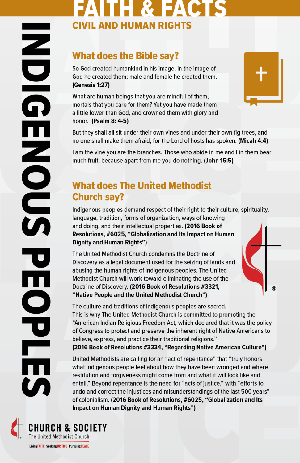 FF Indigenous Peoples (25 cards)