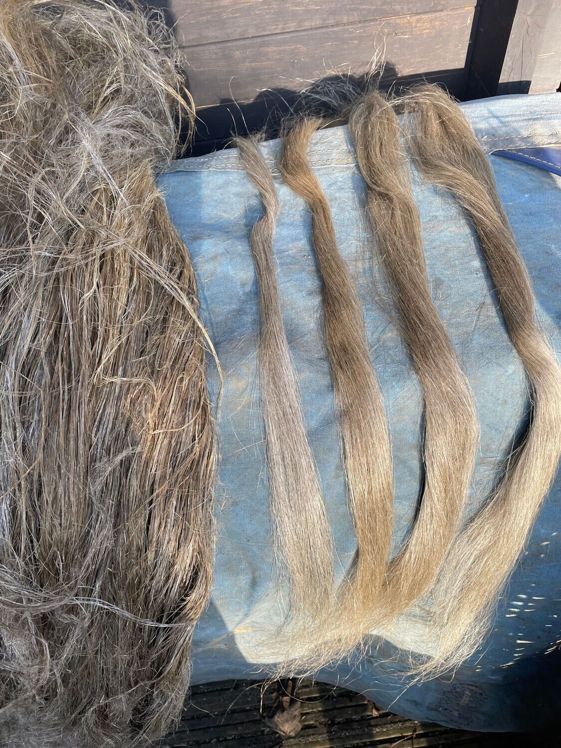 English grown scutched for hackling flax. 1 KG