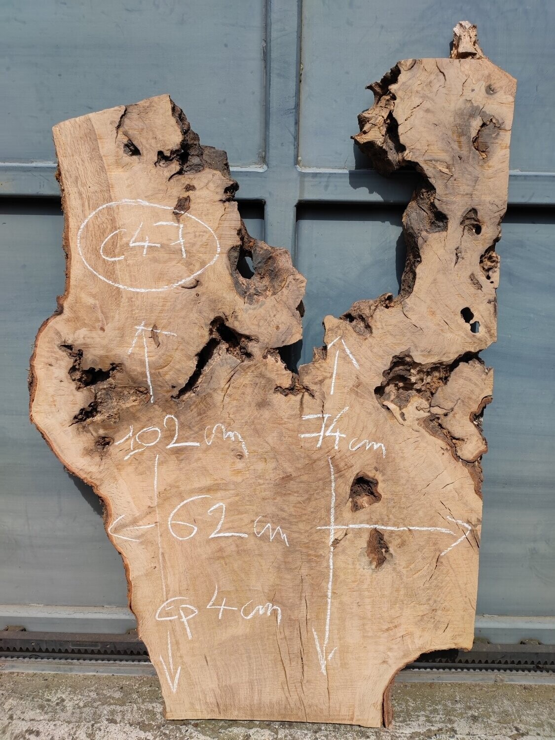 Plateau tranche de loupe de chêne français live edge