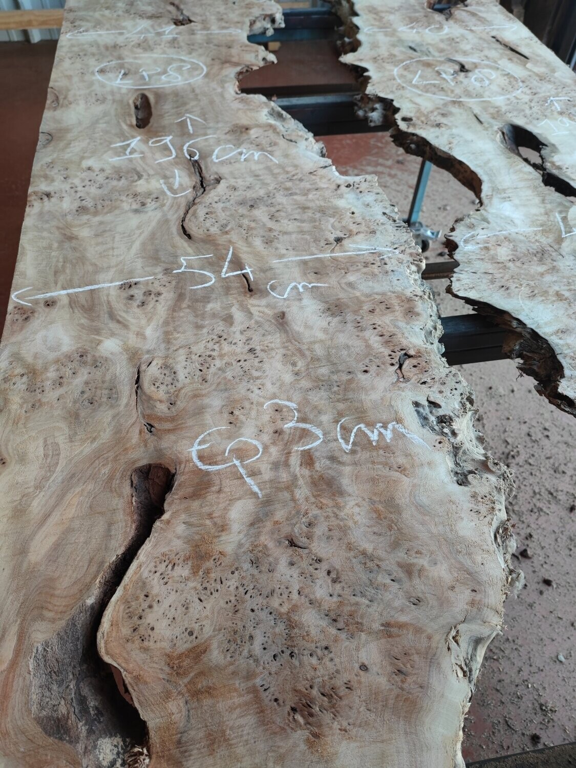 Lot de 2 plateaux de loupe de peuplier